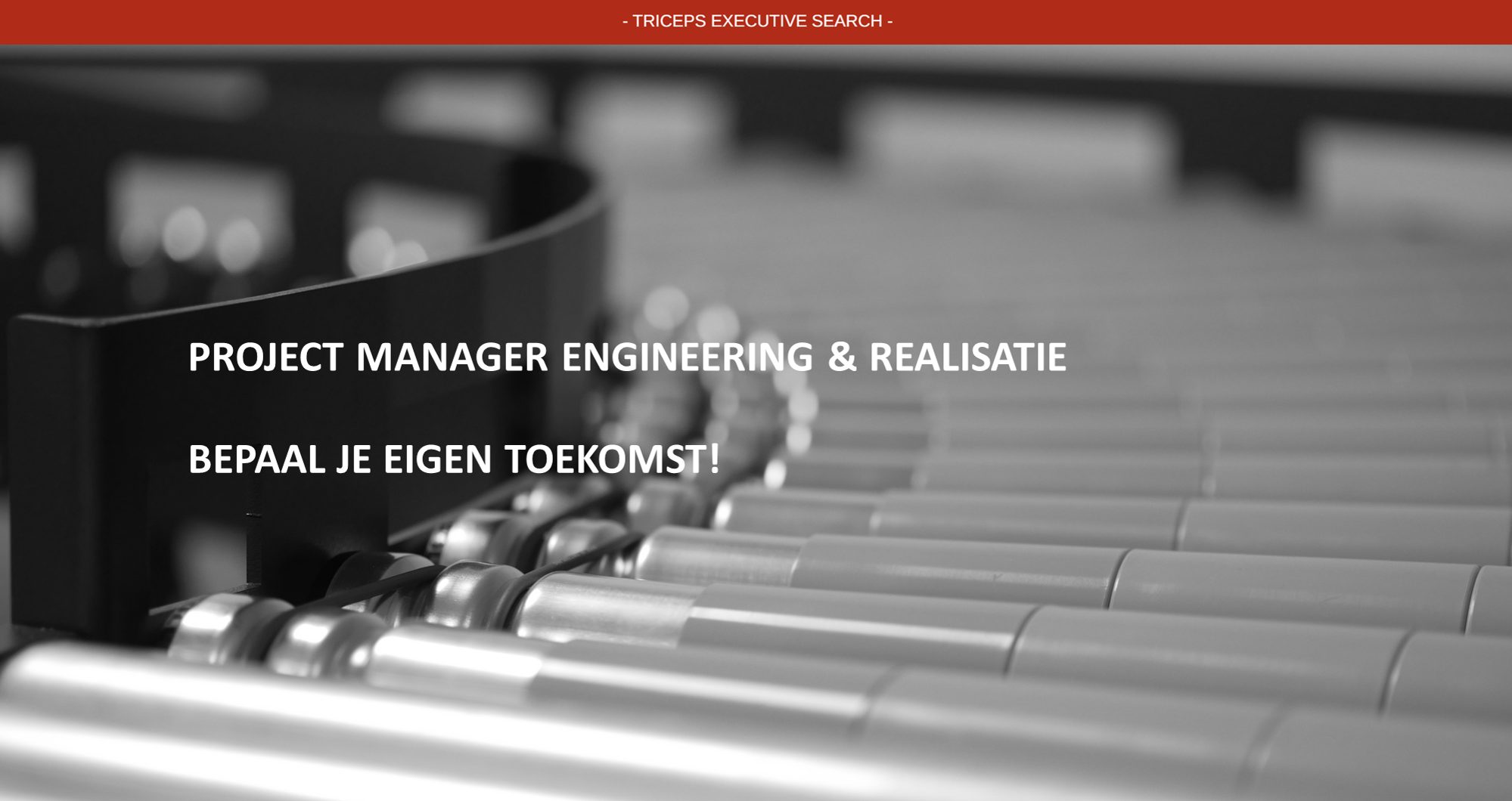 Vacature Project Manager Engineering Realisatie Triceps vacature-project-manager-engineering-realisatie-triceps