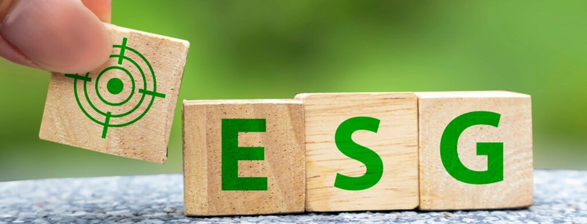 Business Transformation - ESG a license to Operate